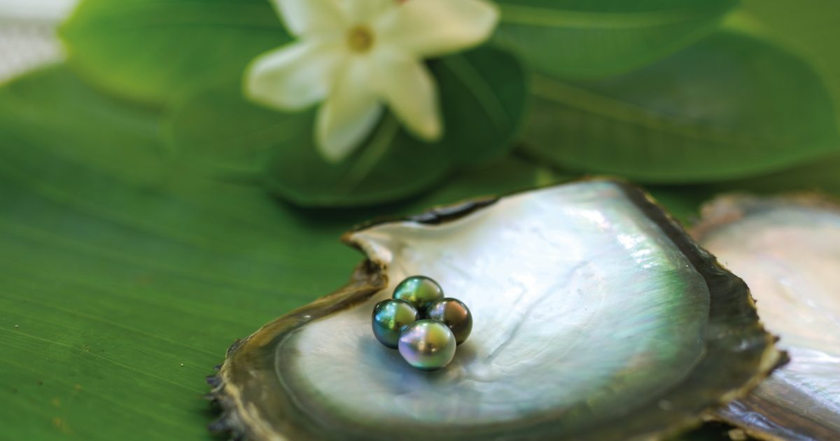 Farm Direct Pearls | Enjoy Cook Islands
