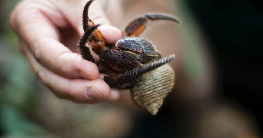 Things visitors might like to know about the… | Enjoy Cook Islands