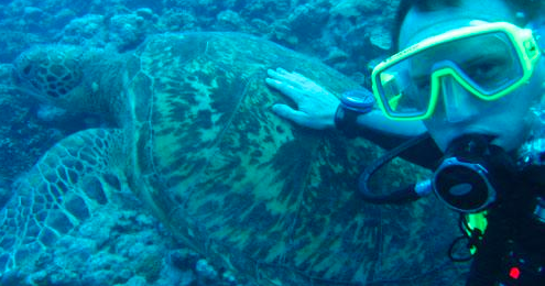 Dive Aitutaki | Enjoy Cook Islands