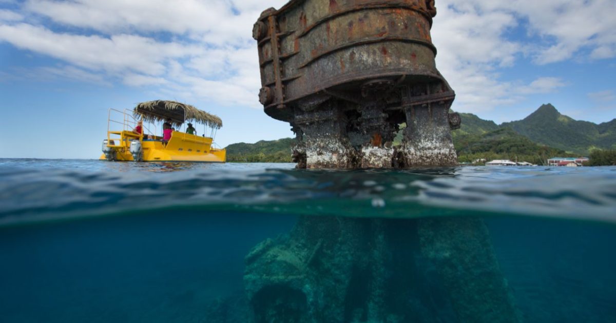 Raro Reef Sub Marine Life Eco Tours | Enjoy Cook Islands